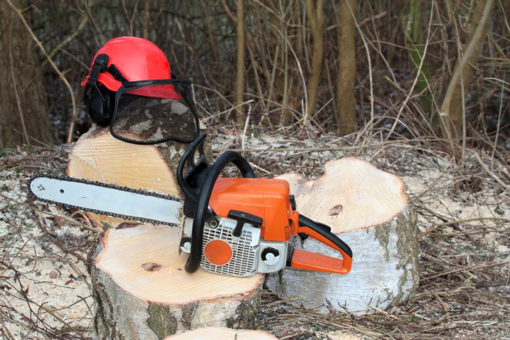 How to Cut Down a Tree With a Chainsaw - Tools n Goods