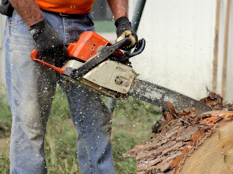 7 Best 18-Inch Chainsaw in 2026 [Detailed Reviews] - Tools n Goods