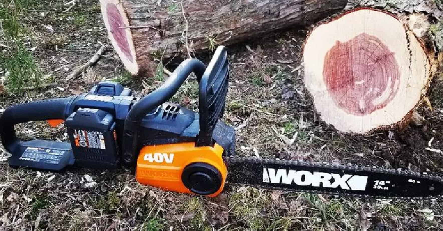 6 Best Logging Chainsaw in 2026 [Detailed Reviews] - Tools n Goods