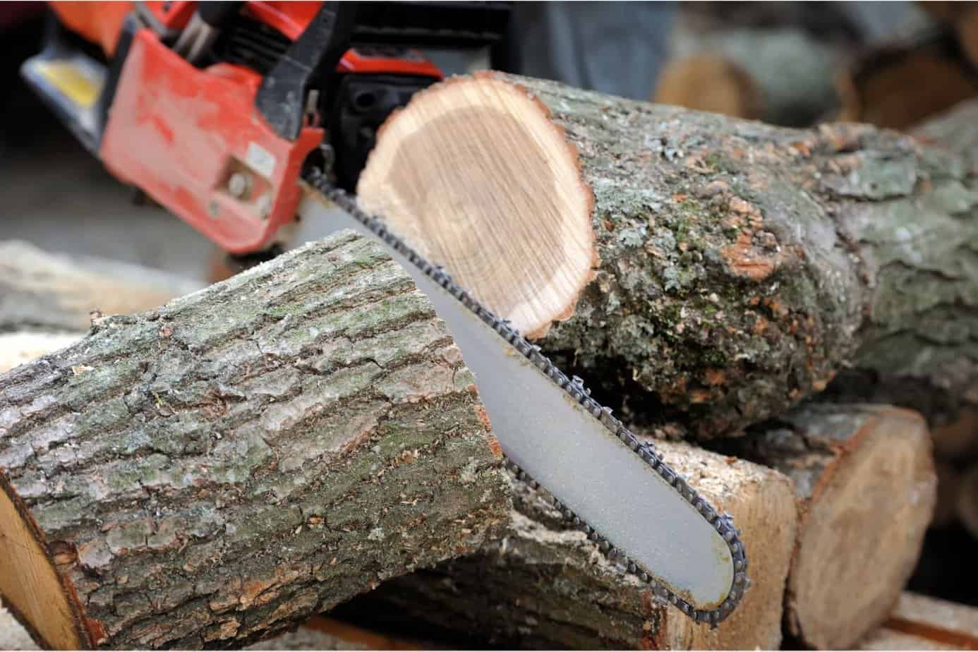 How Does a Chainsaw Work — Tools n Goods