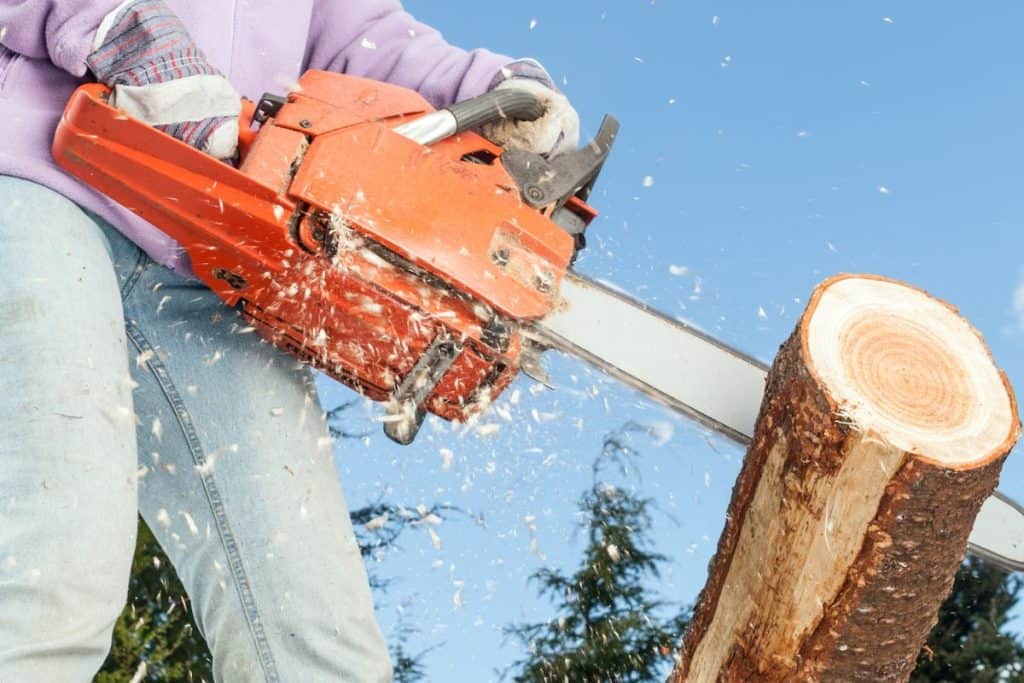 How Does a Chainsaw Work — Tools n Goods